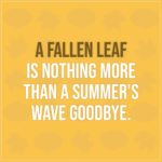10+ Best 'Fall' Quotes & Sayings | Scattered Quotes