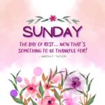 Sunday Quotes & Sayings to Enjoy on the Last Day of the Week