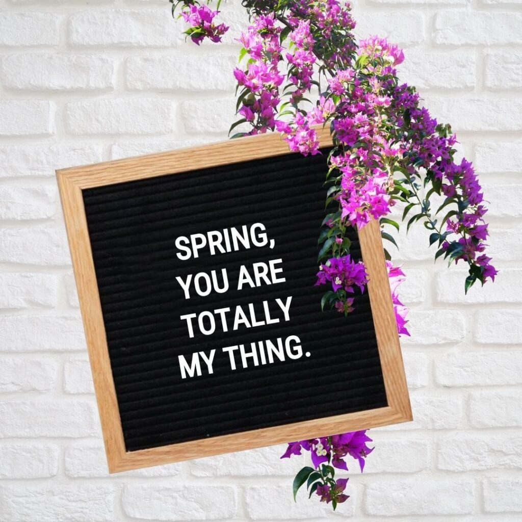 Hello Spring! Letter Board Quotes, Messages & Ideas | Scattered Quotes