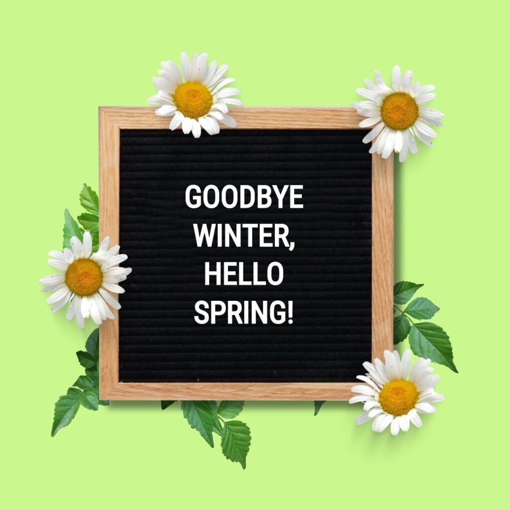 Hello Spring! Letter Board Quotes, Messages & Ideas | Scattered Quotes