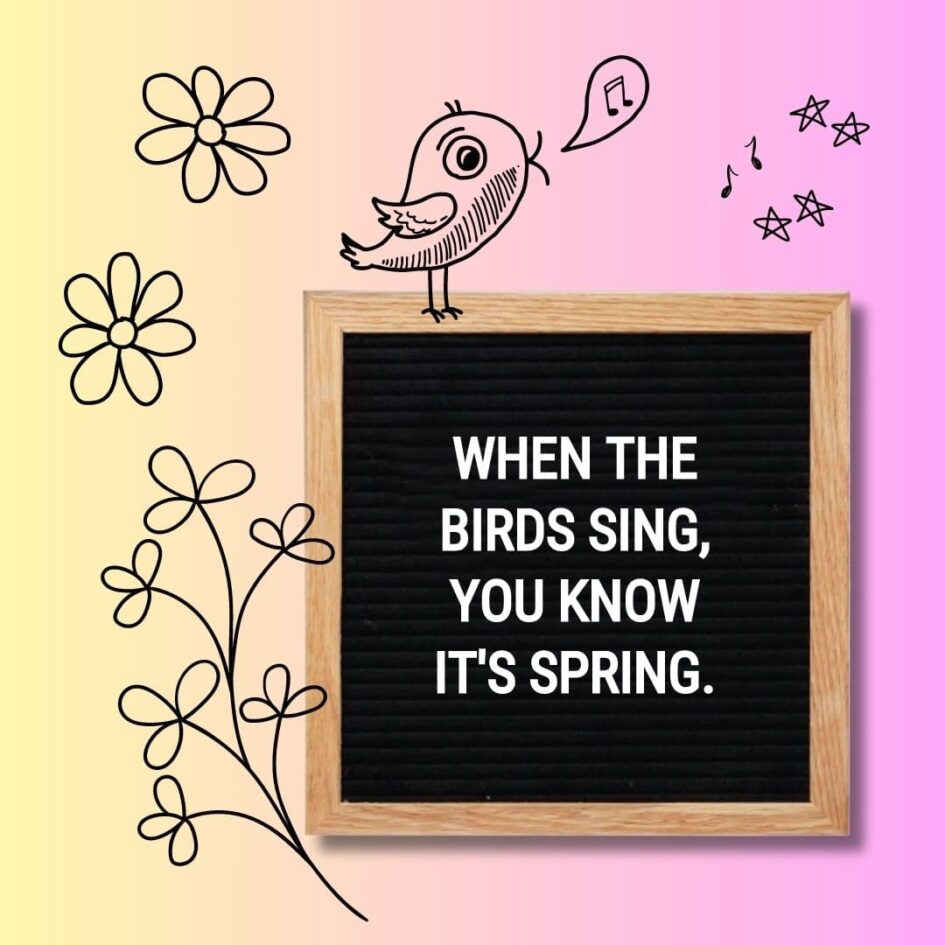 Hello Spring! Letter Board Quotes, Messages & Ideas | Scattered Quotes
