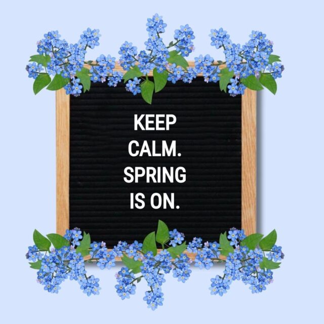 Hello Spring! Letter Board Quotes, Messages & Ideas | Scattered Quotes