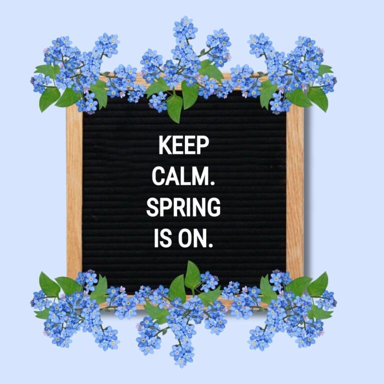 Hello Spring! Letter Board Quotes, Messages & Ideas | Scattered Quotes