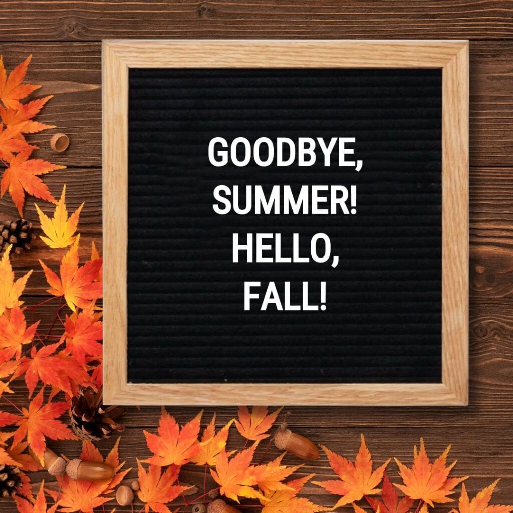 Hello Fall! Letter Board Quotes, Messages & Ideas | Scattered Quotes