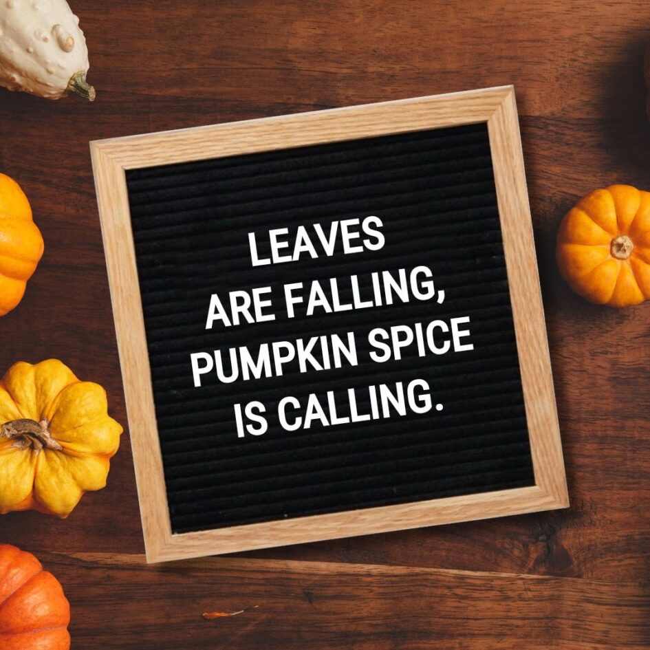 Hello Fall! Letter Board Quotes, Messages & Ideas | Scattered Quotes