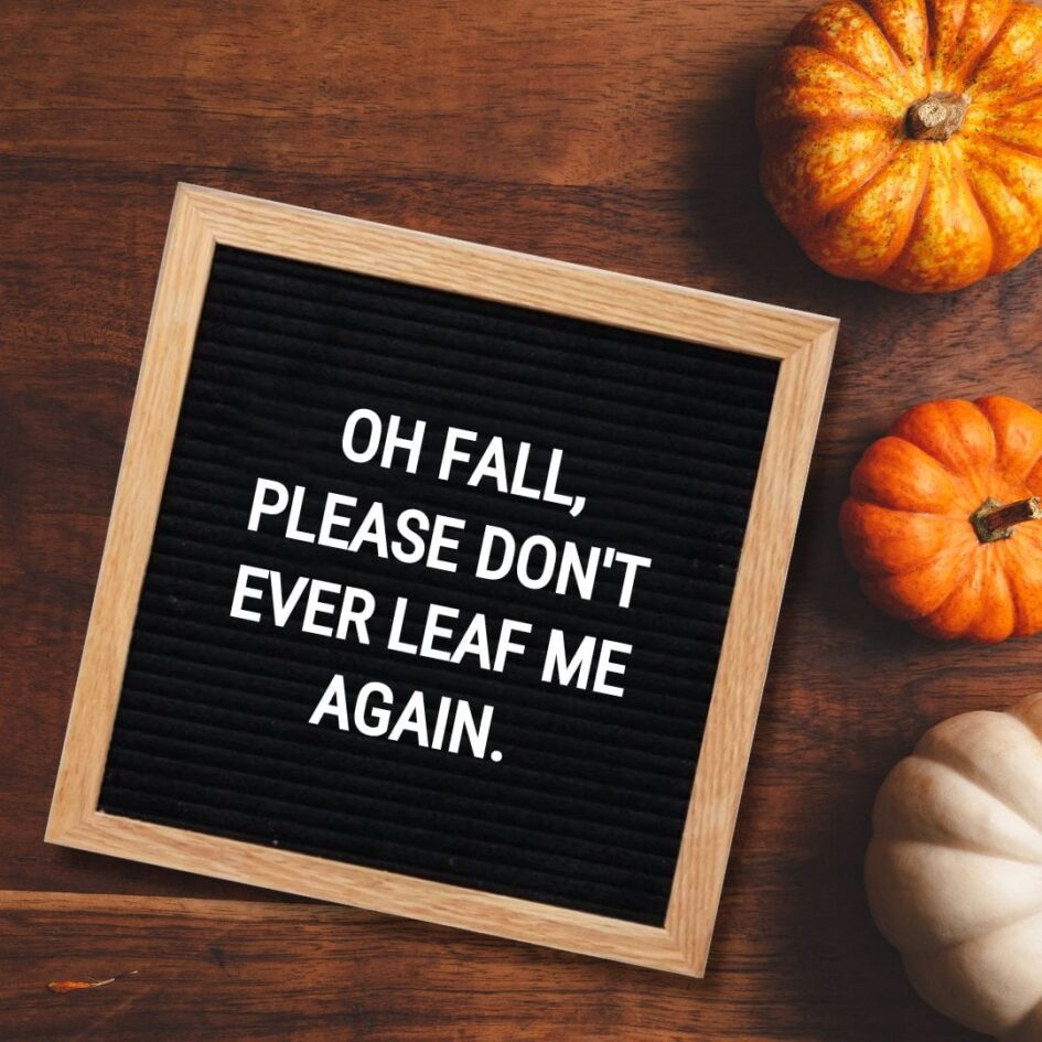Hello Fall! Letter Board Quotes, Messages & Ideas | Scattered Quotes