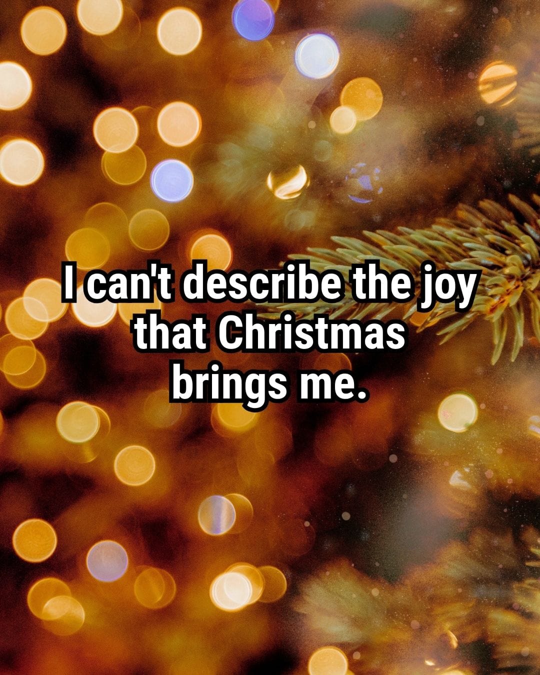 Do You Love Christmas? Relatable Christmas Quotes and Images for Every ...