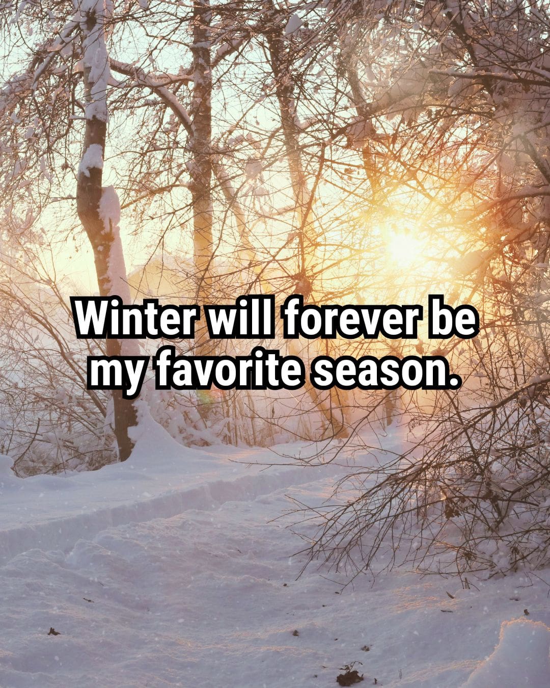 Do You Love Winter? Relatable Winter Quotes and Images for Every Frosty ...