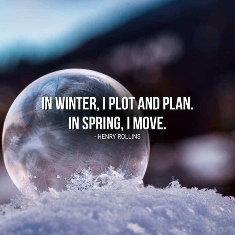"In winter, I plot and plan. In spring, I move." | Scattered Quotes