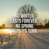 “No winter lasts forever; no spring skips its turn.” | Scattered Quotes